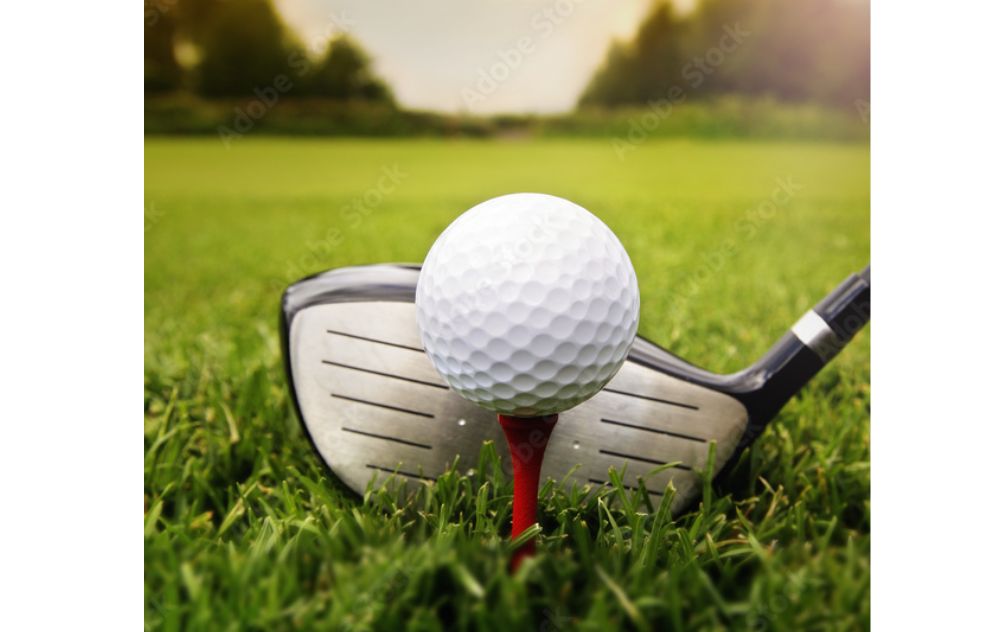 Turf Titans - Premium Synthetic Turf Solutions South Africa | AI ...