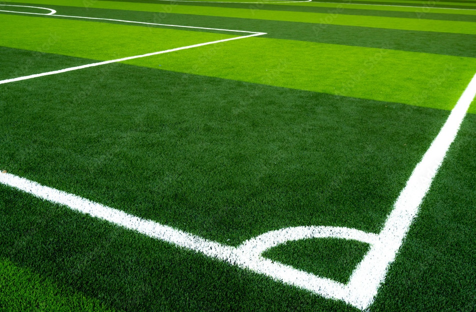 Turf Titans - Premium Synthetic Turf Solutions South Africa | AI-Powered TurfBot Recommendations